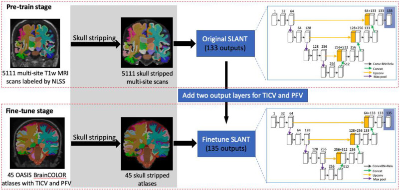 Generalizing deep learning brain segmentation for skull removal and intracranial measurements ...