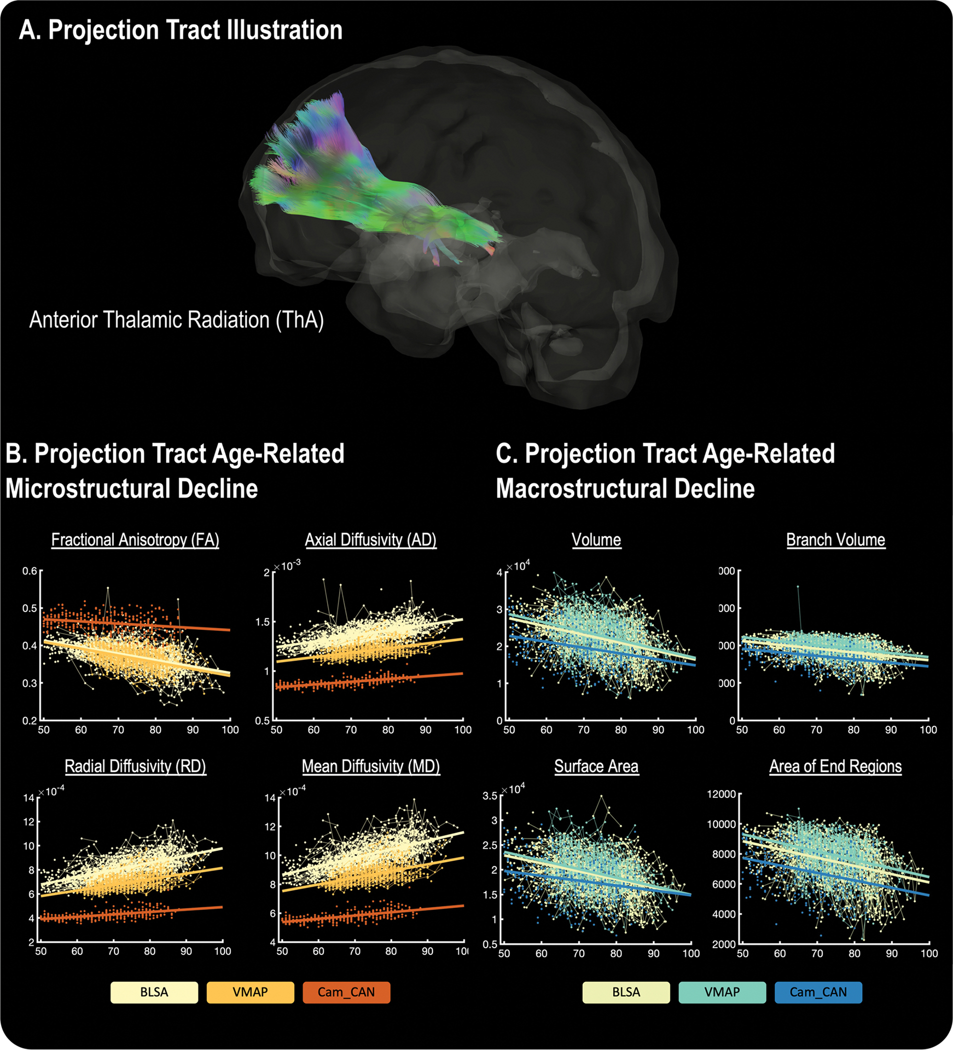 Aging and white matter microstructure and macrostructure: a longitudinal multi-site diffusion ...