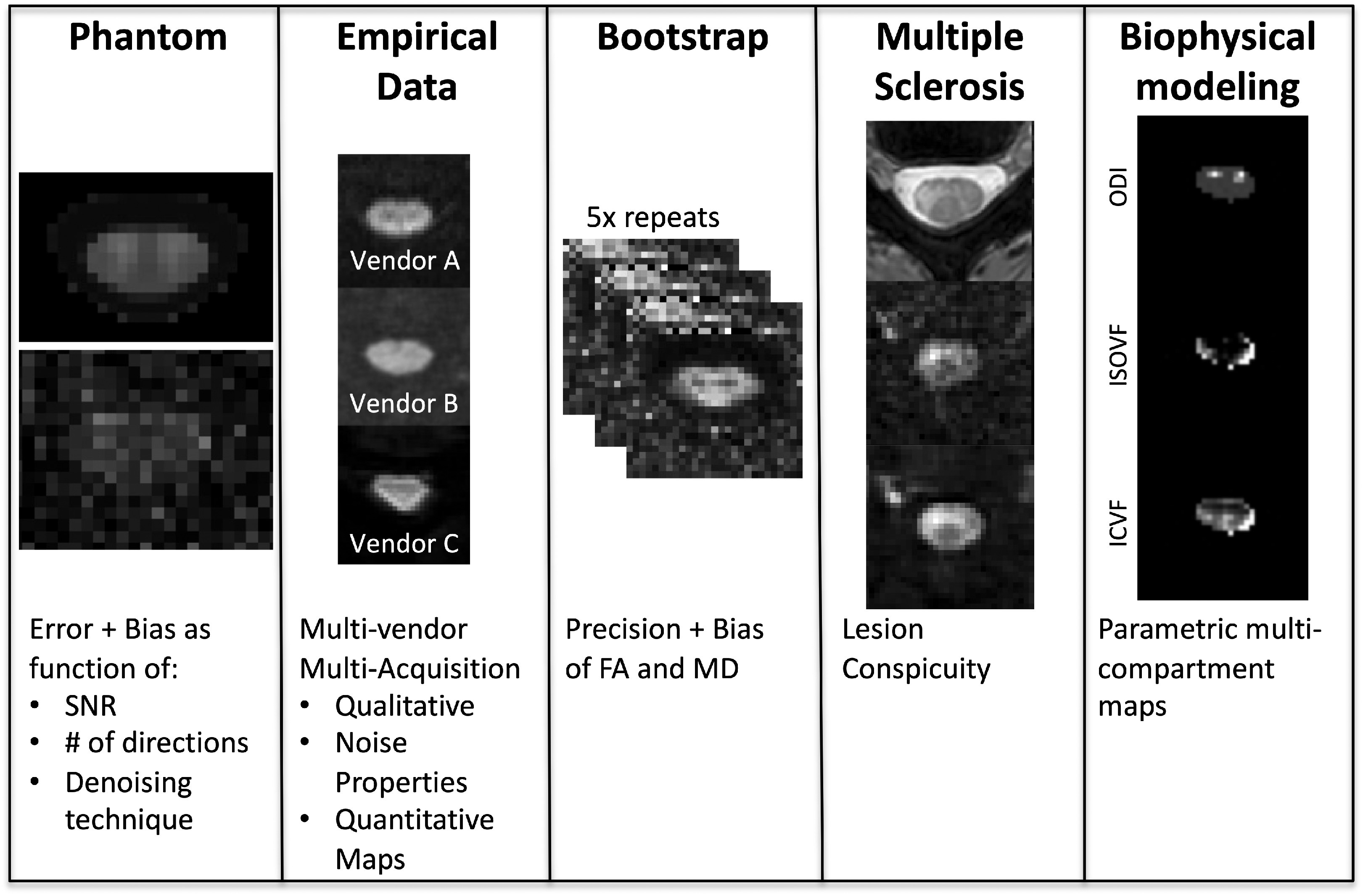Spinal Cord Imaging | Medical-image Analysis and Statistical ...