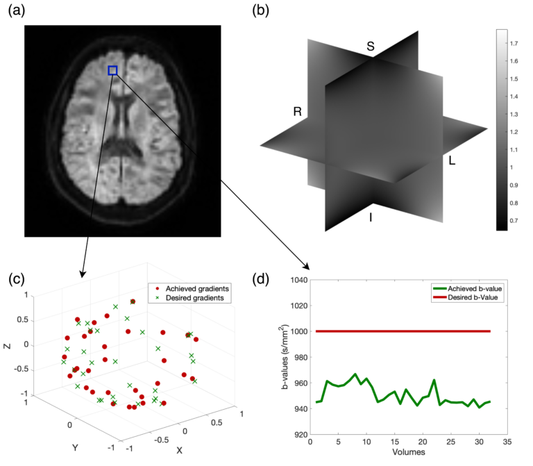 Mapping the impact of nonlinear gradient fields with noise on diffusion ...