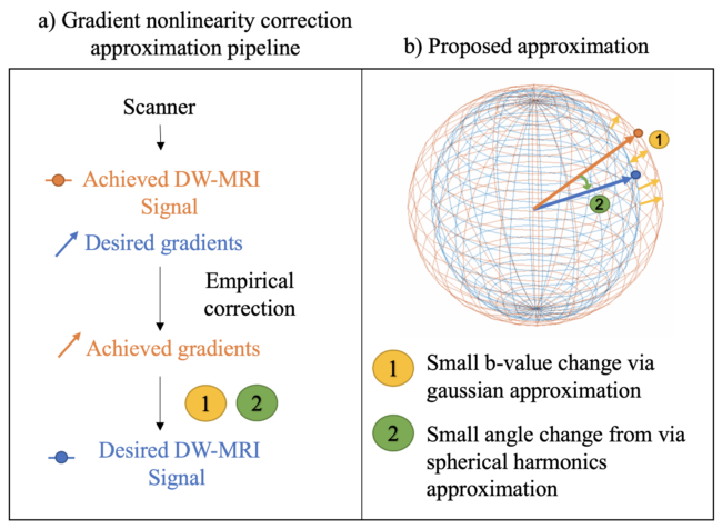 Efficient approximate signal reconstruction for correction of gradient ...