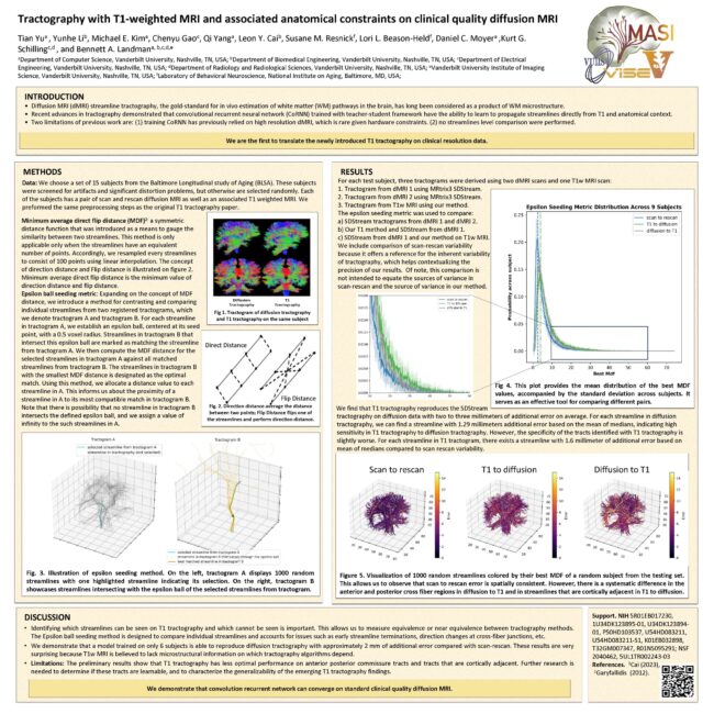 Tractography with T1-weighted MRI and associated anatomical constraints ...